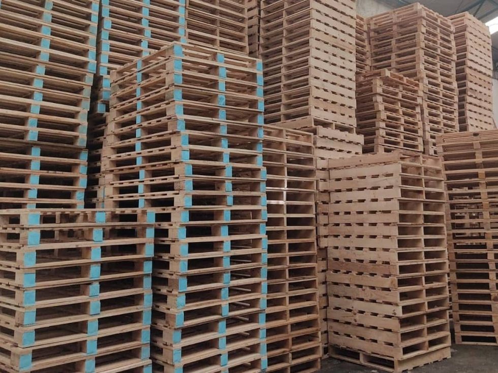 Calau | Tarimas | Pallets de Madera